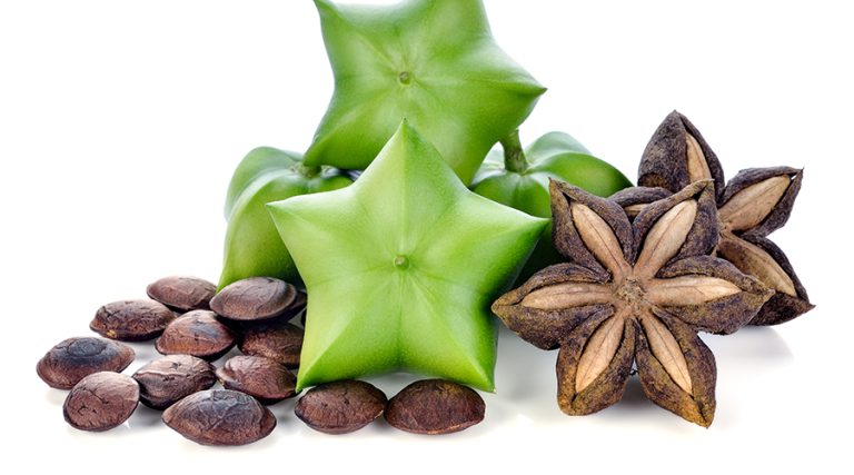 Sacha Inchi vs Fish Oil: Which One Is Better? | 23 December 2025