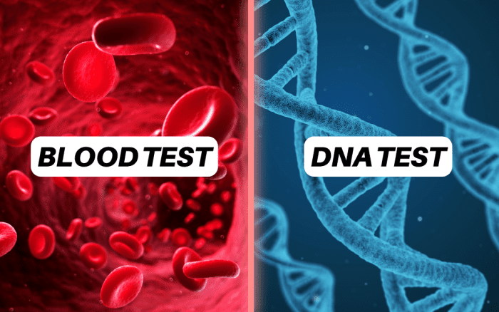 DNA Test Explained